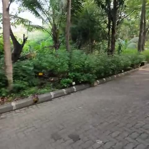 Govardhan Eco Village Palghar - Reviews, Photos & Offer